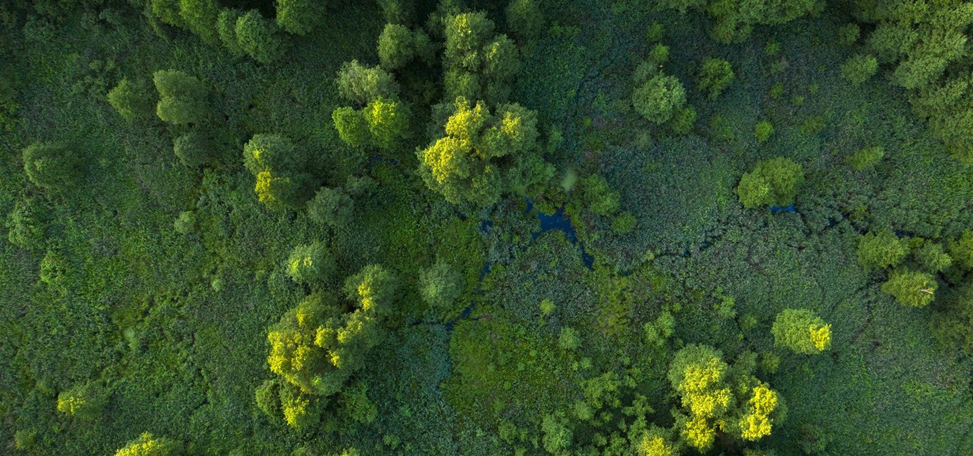 Sustainability - Styropek